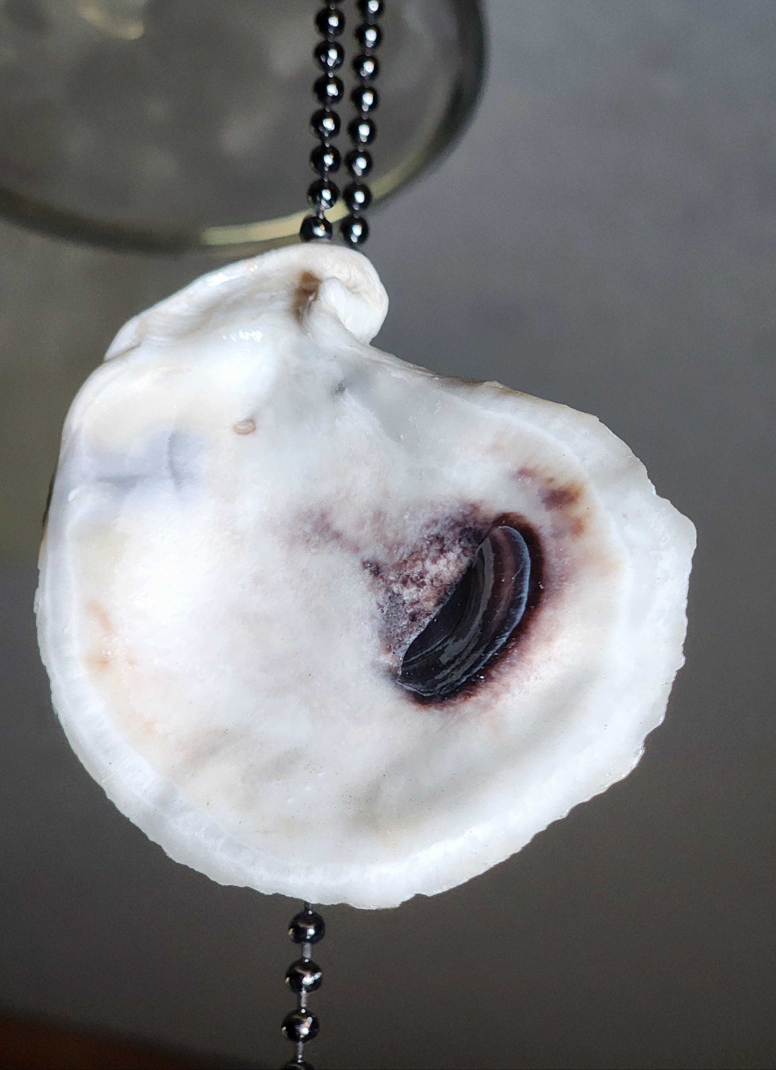 Ceiling Fan Pull Chains – Charlie's Oyster Bar